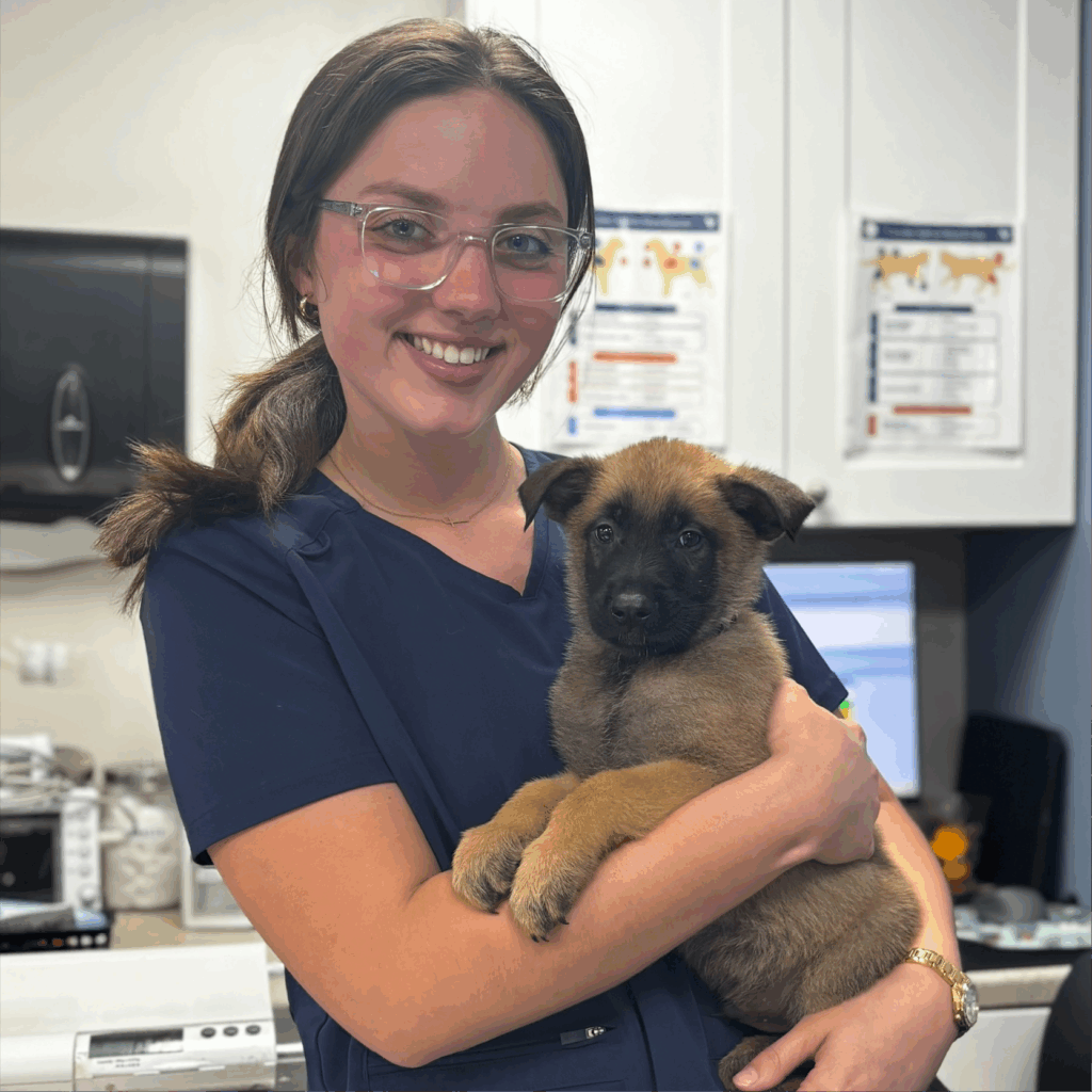 Kim - Budd Lake Animal Hospital